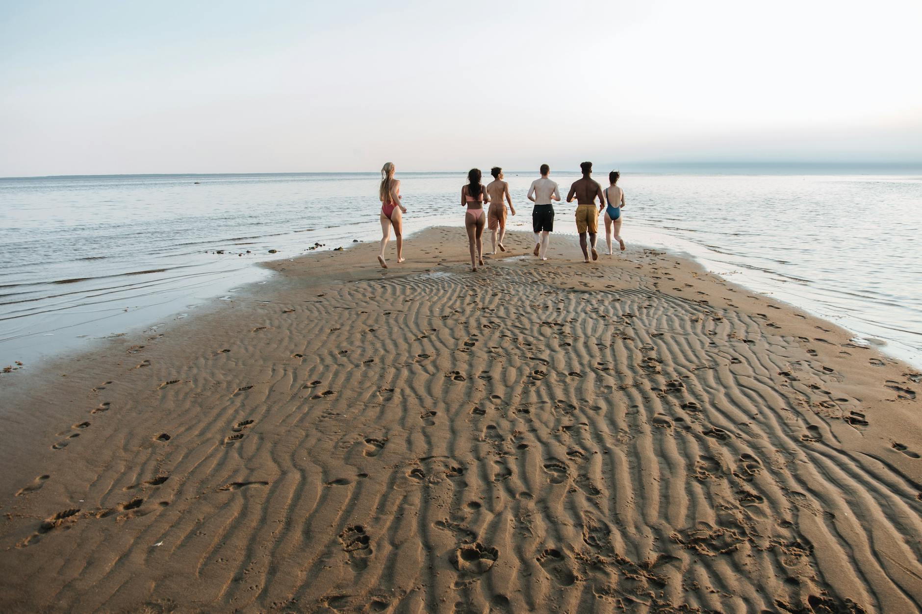 The Birch Girls Series - Colee Ernst | Author